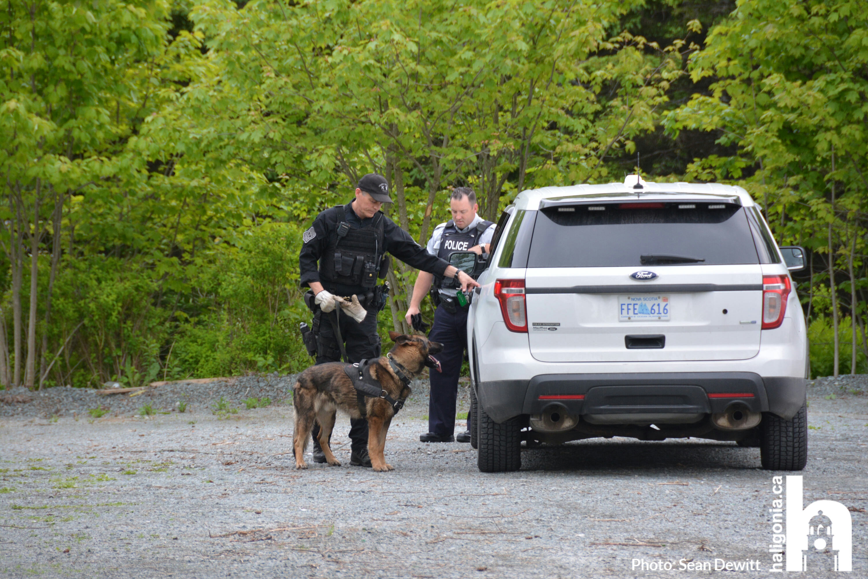 RCMP arrest 3 Teens in relation to street level robbery in Cole Harbour ...