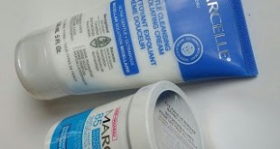 Marcelle Spring 2017 – City | haligonia.ca